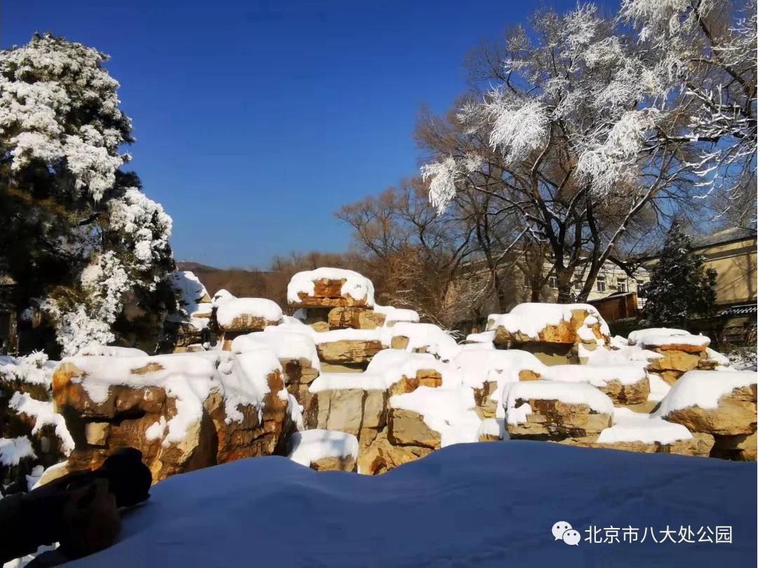 This place in Beijing has started creating snow scenes