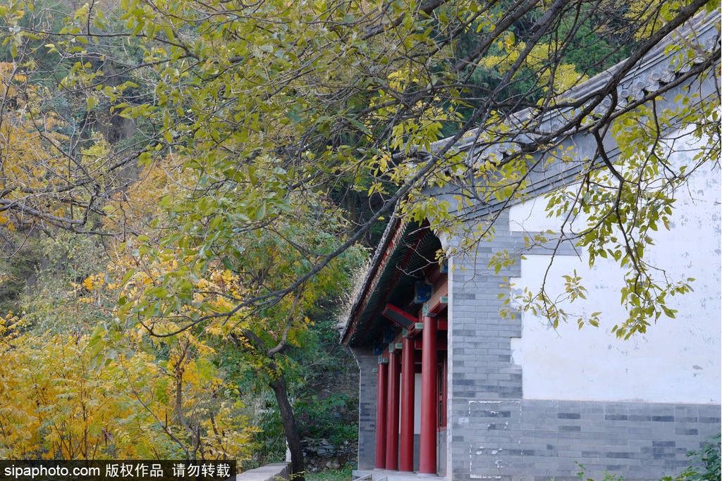 Autumn Colors in Haidian District, Beijing