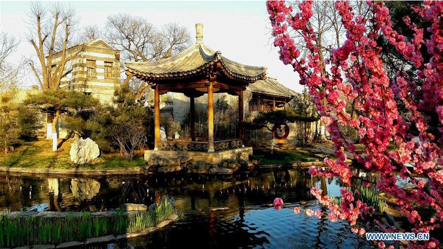 Spring scenery in Peking University in Beijing