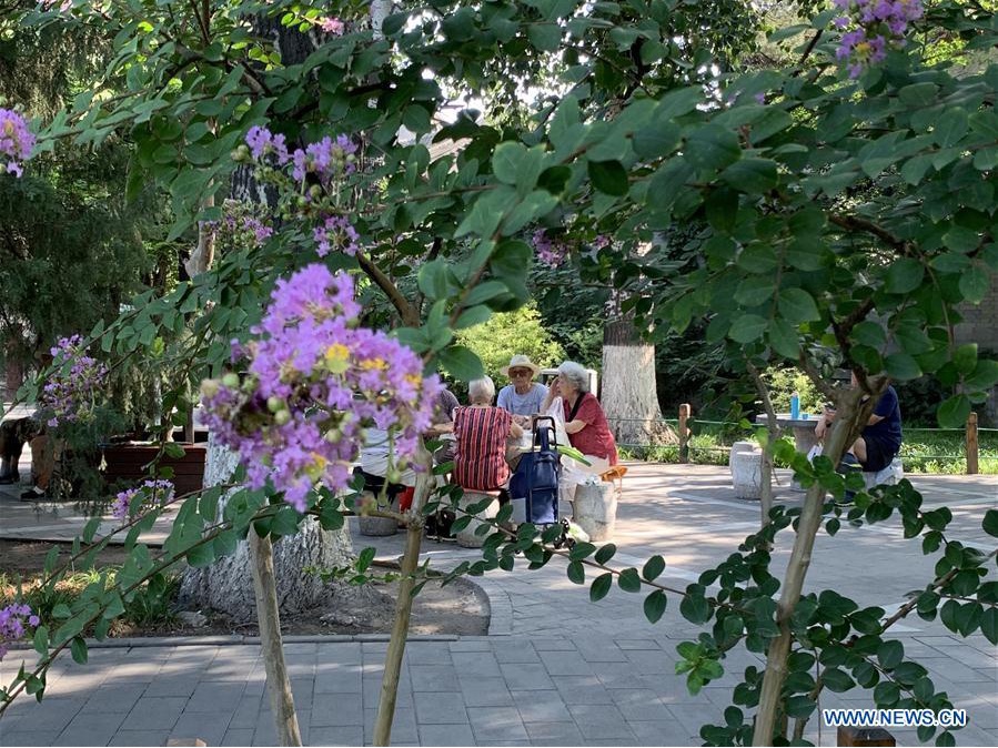People enjoy summer activities in Beijing