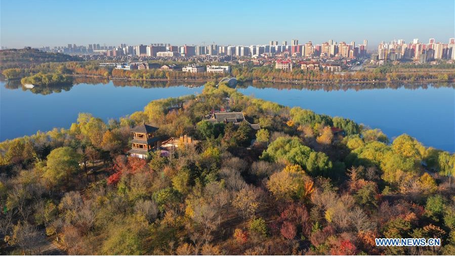 Early winter scenery of Nanhu scenic spot in N China's Hebei