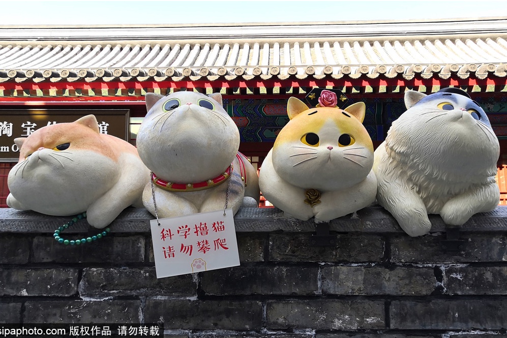 Royal Cats Statues Attract Tourists in Beijing