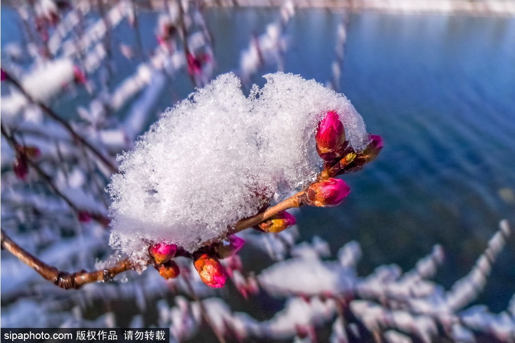 Things you may not know about Minor Cold