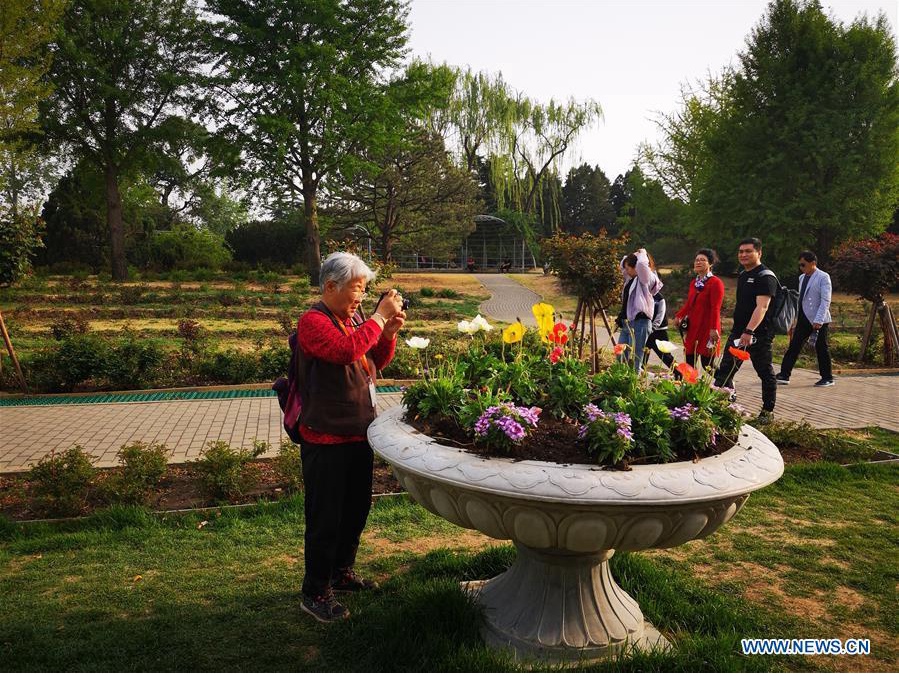 People enjoy spring scenery at Beijing Botanical Garden
