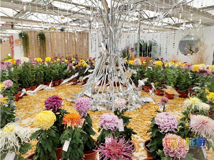 Seasonal Plants in Beijing World Flower Garden