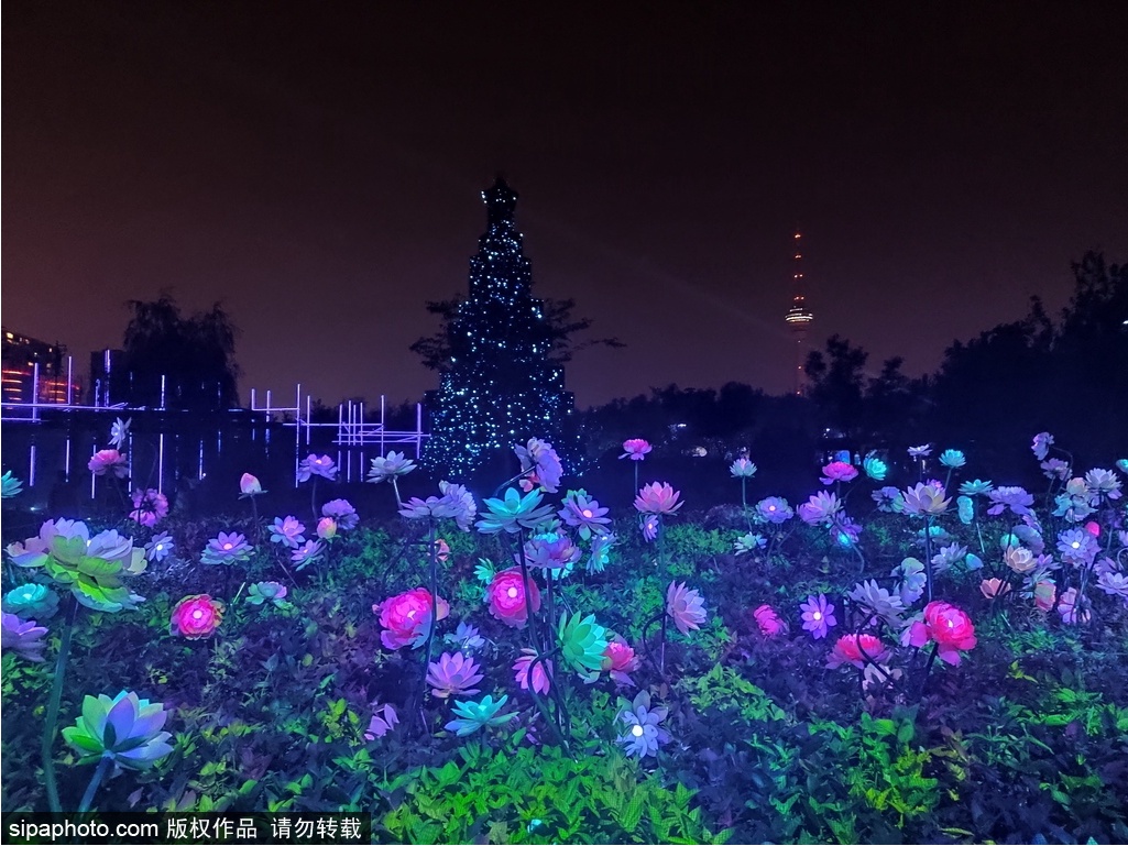 'Alive Together' light show opens Thursday in Beijing Yuyuantan Park