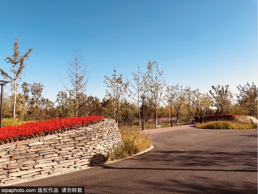 Take a look at the new landmark of the city, experience new life and ...