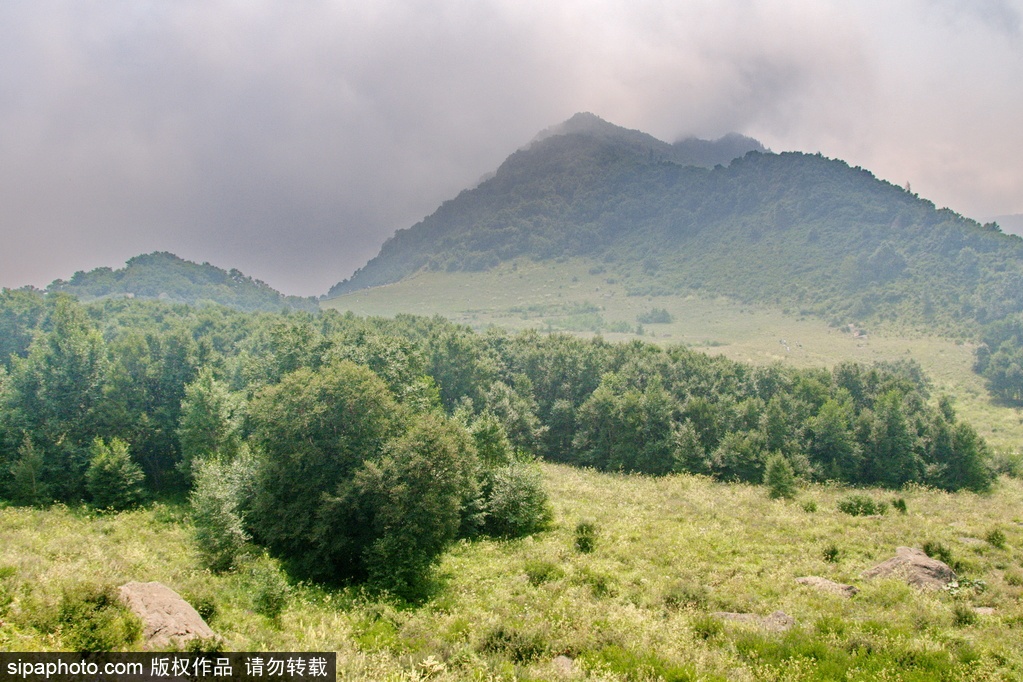 Meadow at the Top of Baihua Mountain