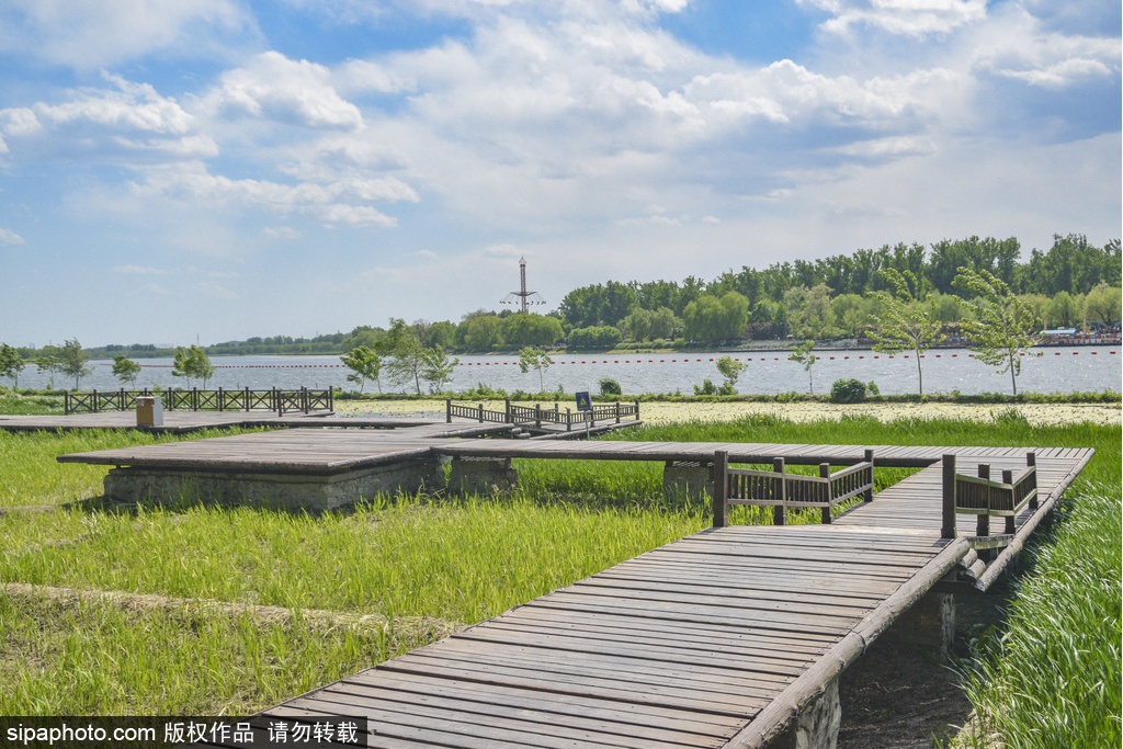 Tongzhou Grand Canal: it connects transportation and locality