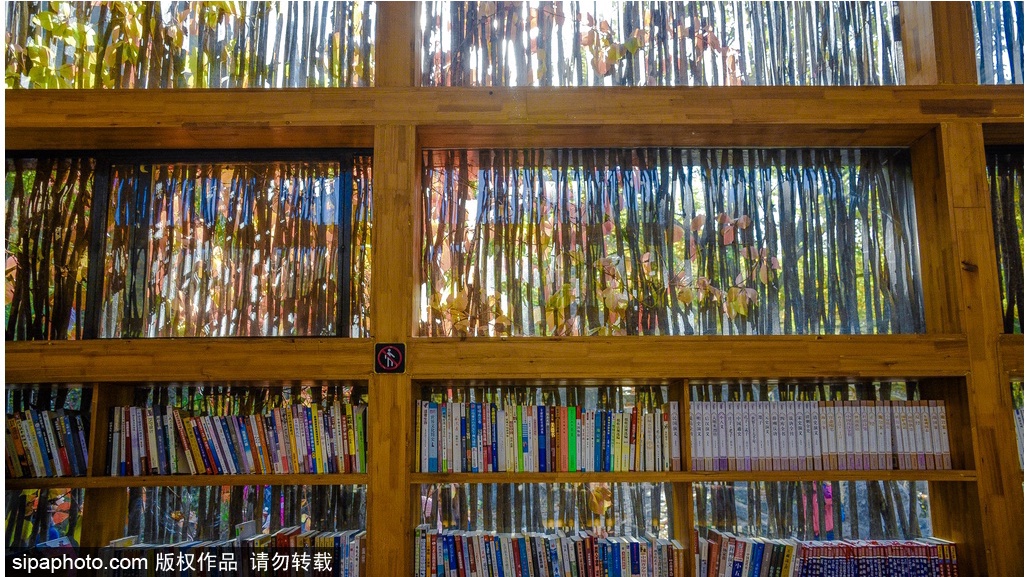 Liyuan Library: Combination of Nature and Bookstore