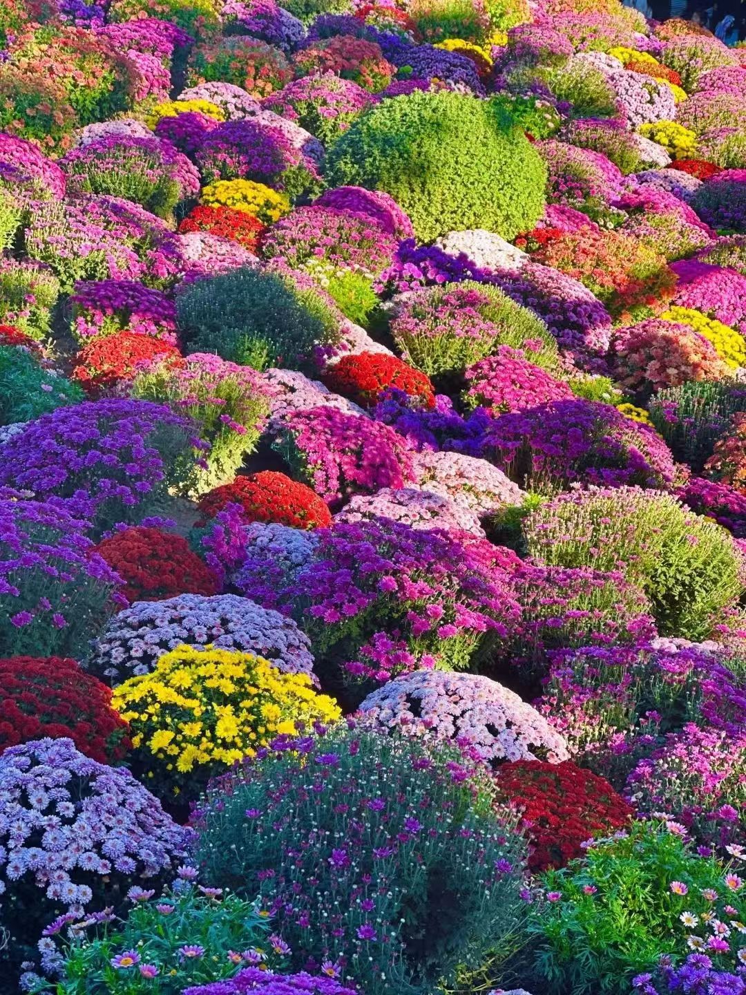 Beijing in the lens | Stunning Scenery for a Beautiful Holiday