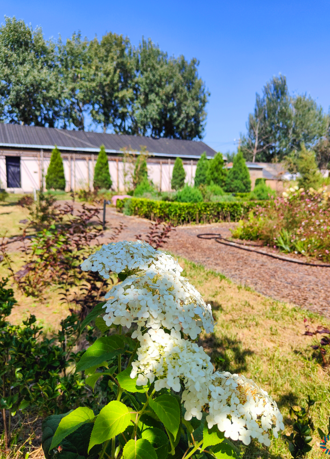 2022 Internet-popular Tourist Spot | Wuwa Farm · Immersive rural ...