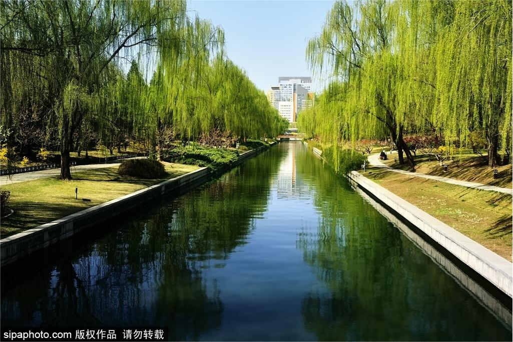 Explore Beijing's famous attractions by themed bus