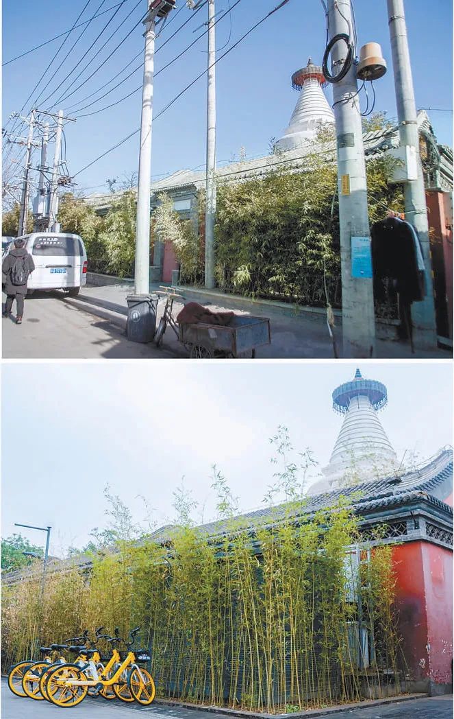 10 back alleys credited as this year's most beautiful alleys