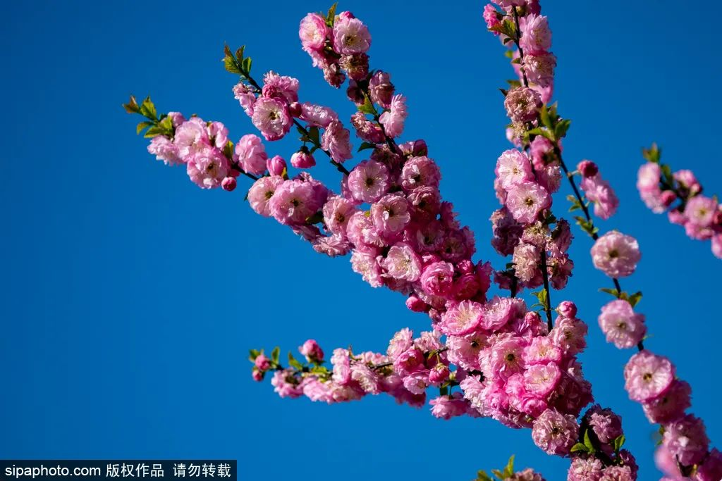 Secret Places to Encounter the Beautiful Scenery | Baiwang Mountain ...