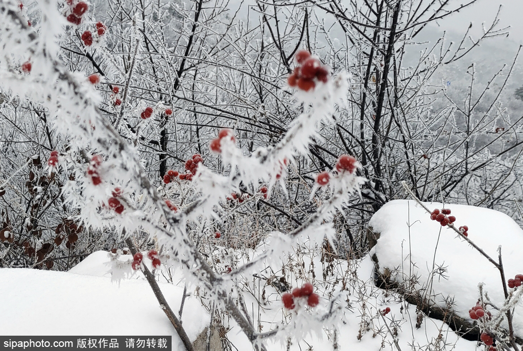 Gale-force wind to bring a temperature drop to Beijing