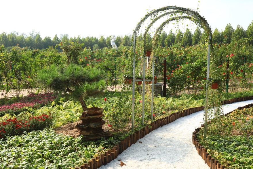 京津冀跟着乡宿去旅行线路三——大兴