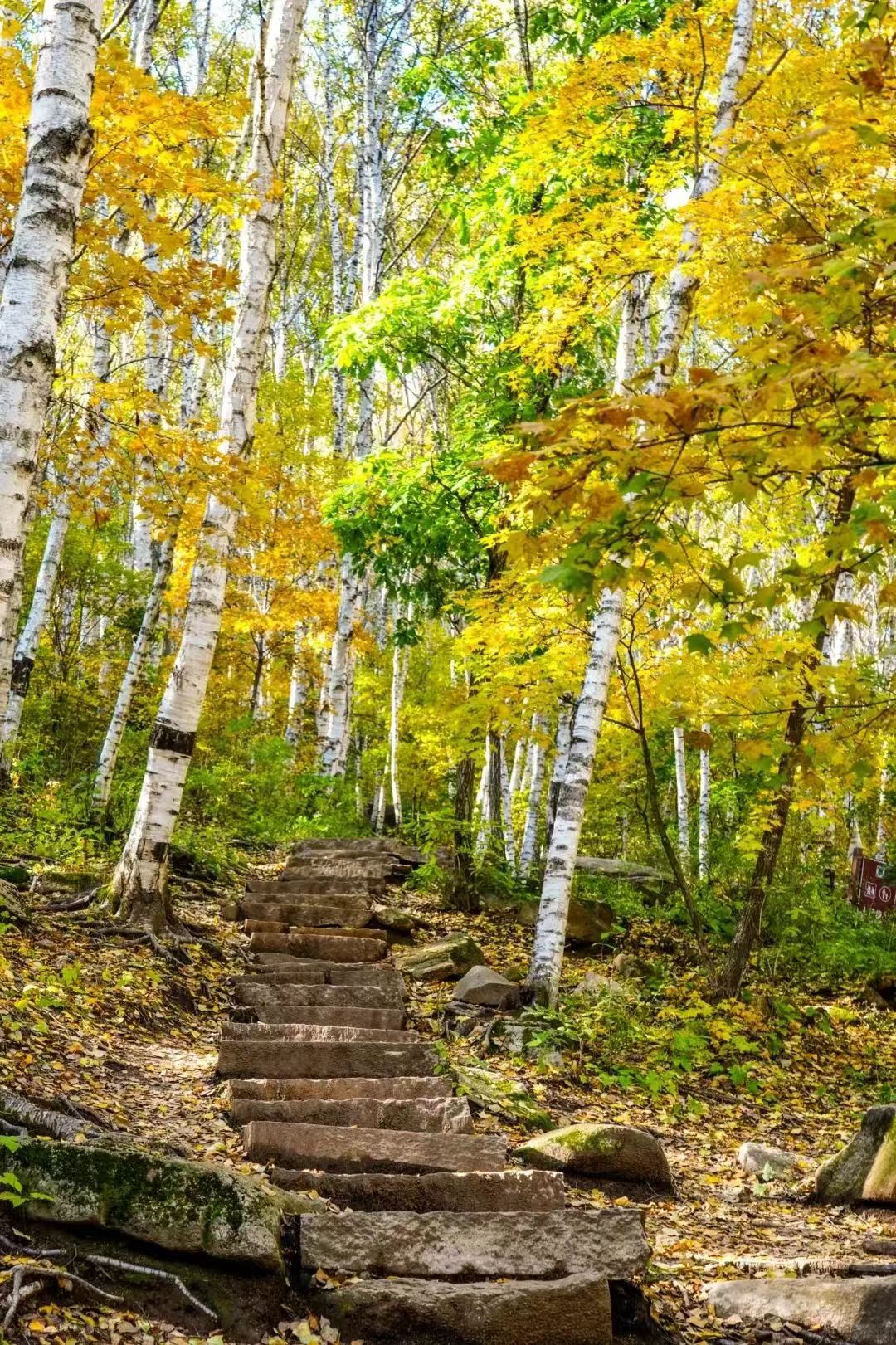 Beijing in the lens | Stunning Scenery for a Beautiful Holiday