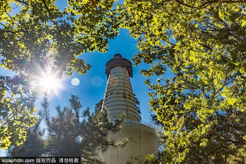 A Midsummer Retreat at an Ancient Temple