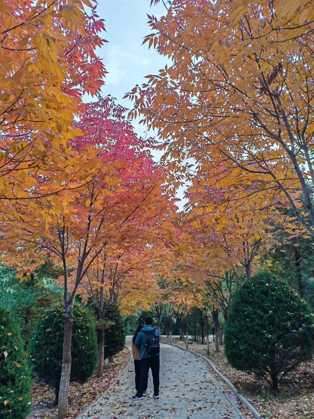 The forest park is in full splendor! Some areas are free of charge