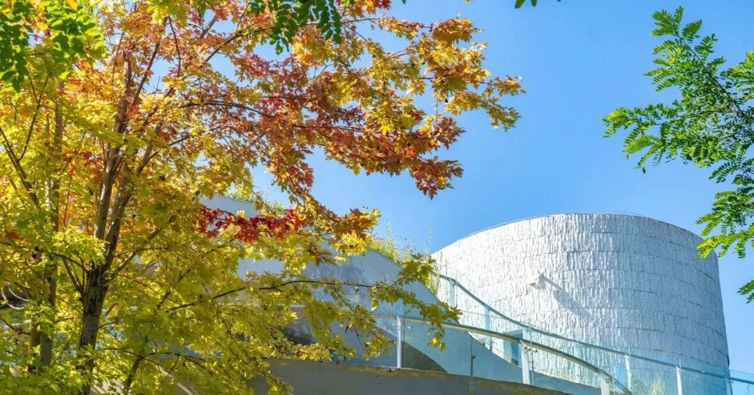Weekend Getaways in Beijing Suburbs | Beijing's earliest red leaf ...