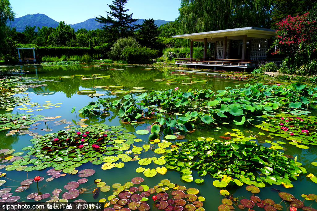The National Botanical Garden awarded as a National Ecological ...