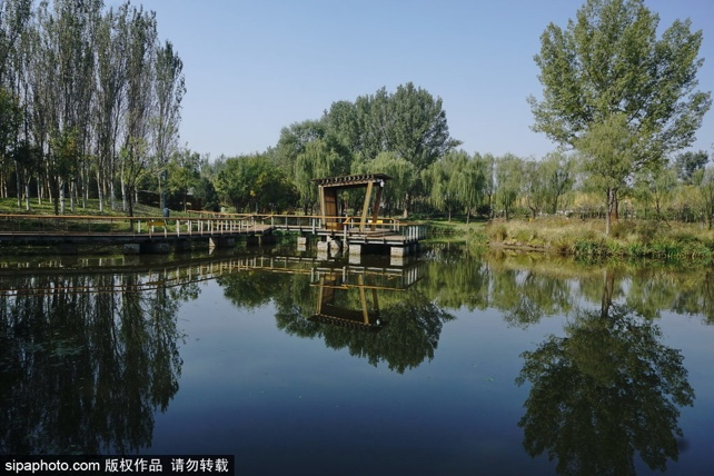 Dongjiao Wetland Park | Artificial Sand Dunes, Lakes, and Floral Landscapes
