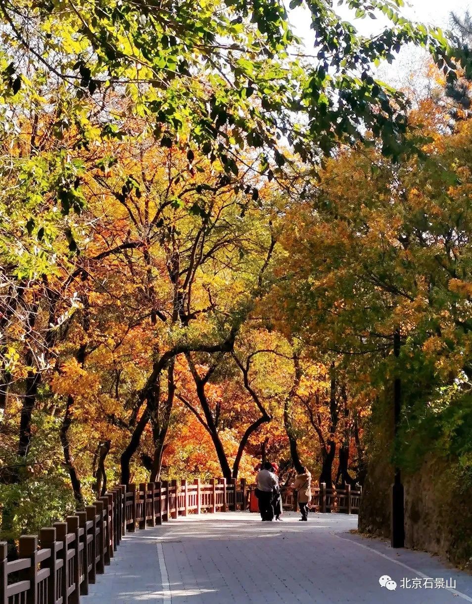 The unique autumn scenery of Badachu Park