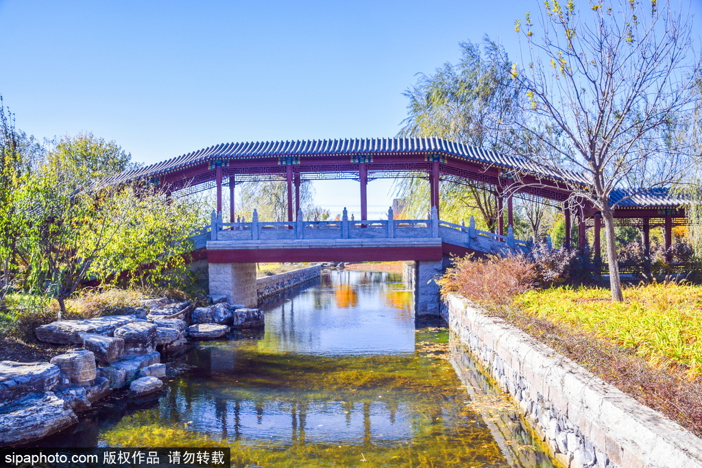 Beijing Municipal Administrative Center launches 5 autumn appreciation ...