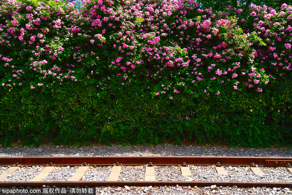 Qingfeng Park in Beijing