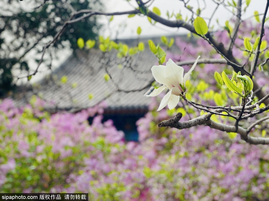 Today in Beijing, the warmth will increase and the highest temperature ...