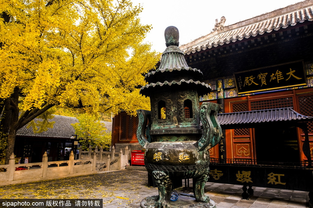 Hongluo Temple Scenic Area