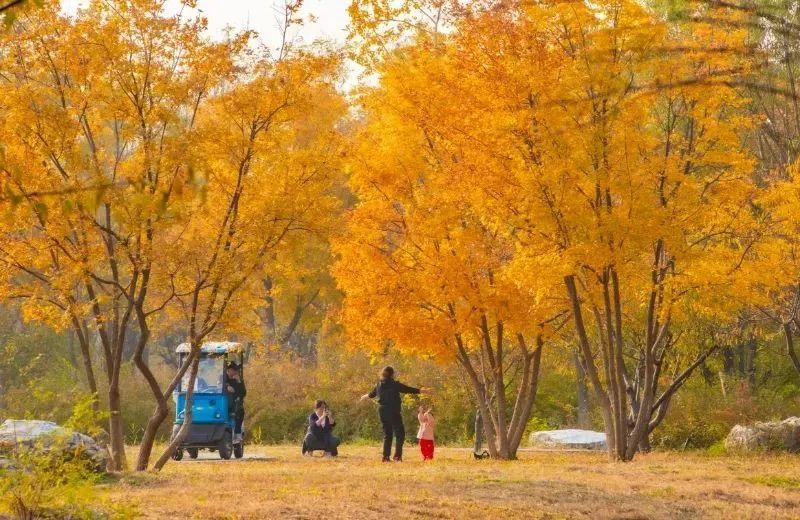 The forest park is in full splendor! Some areas are free of charge