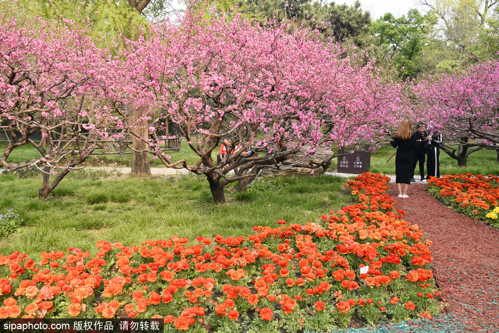 The best hiking spots in Beijing in spring