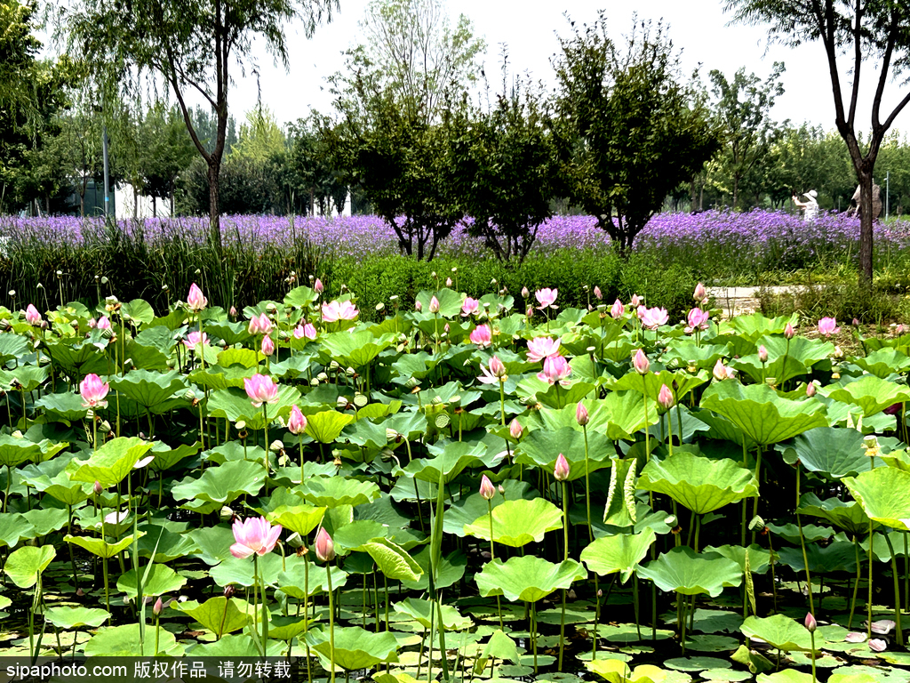Recommended places to play on the sand in Beijing