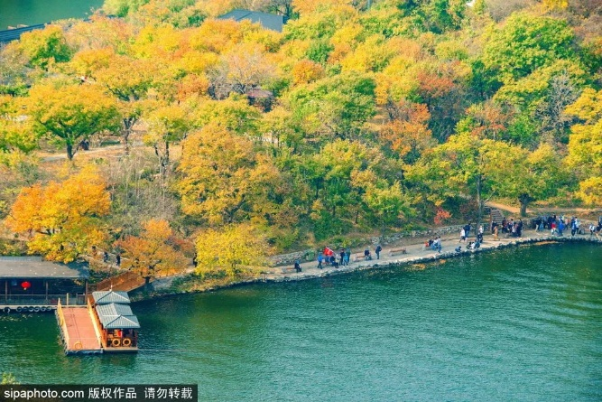 Beijing Autumn Leaf Viewing