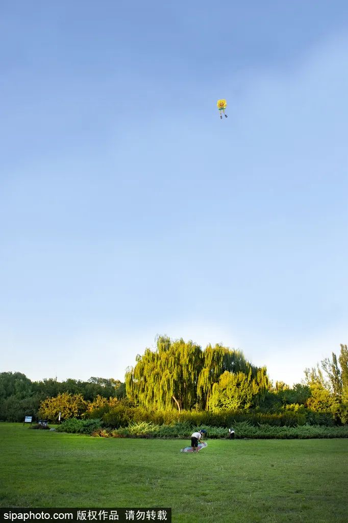 Spring Rituals in Beijing | Kite Flying in the Sun Park and Listen to ...